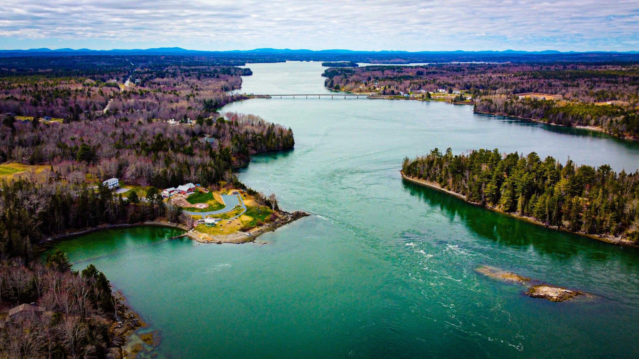 Help Us Name the Tidal Falls Great Blue Heron! - Frenchman Bay Conservancy
