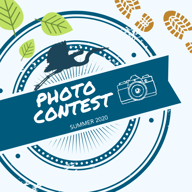 Summer 2020 Photo Contest - Frenchman Bay Conservancy