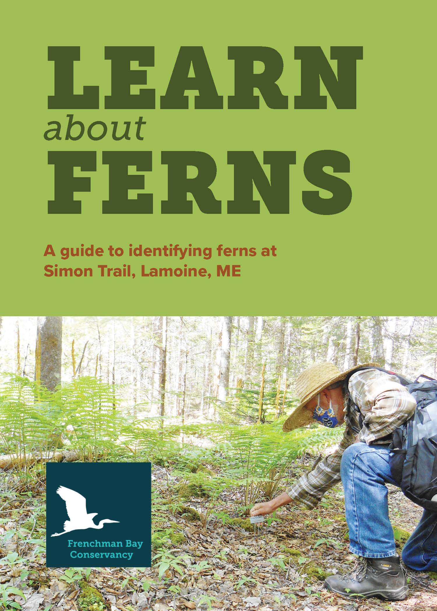 Self-Guided Fern Hike at Simon Trail - Frenchman Bay Conservancy