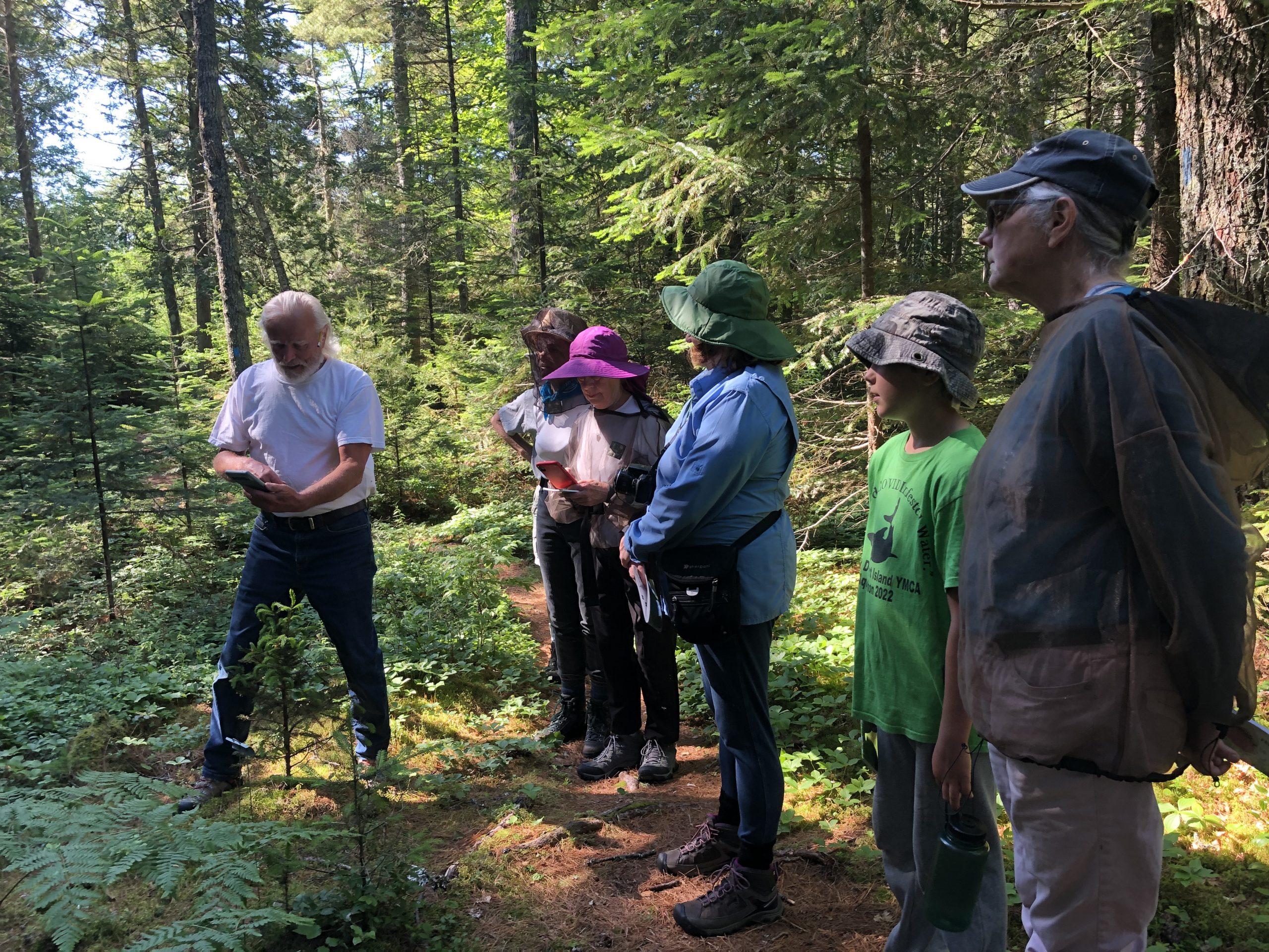 Self-Guided Fern Hike at Simon Trail - Frenchman Bay Conservancy