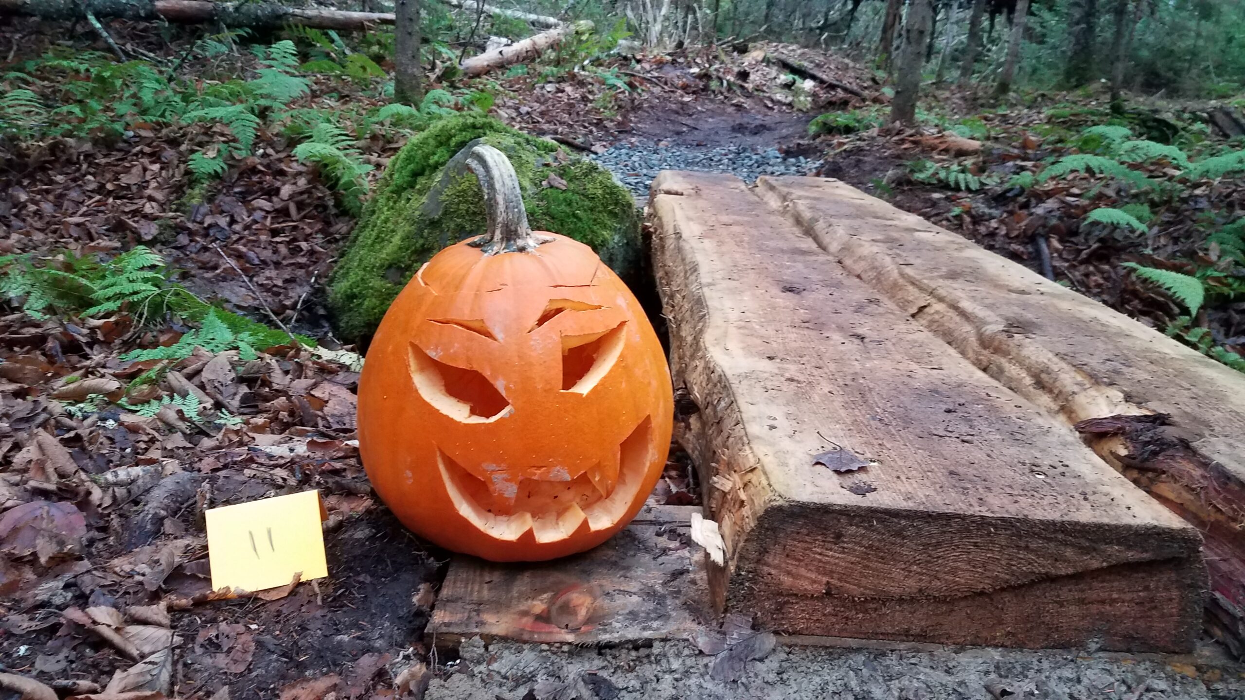 Sixth Annual Pumpkin Hike at Jordan Homestead Preserve - Frenchman Bay ...