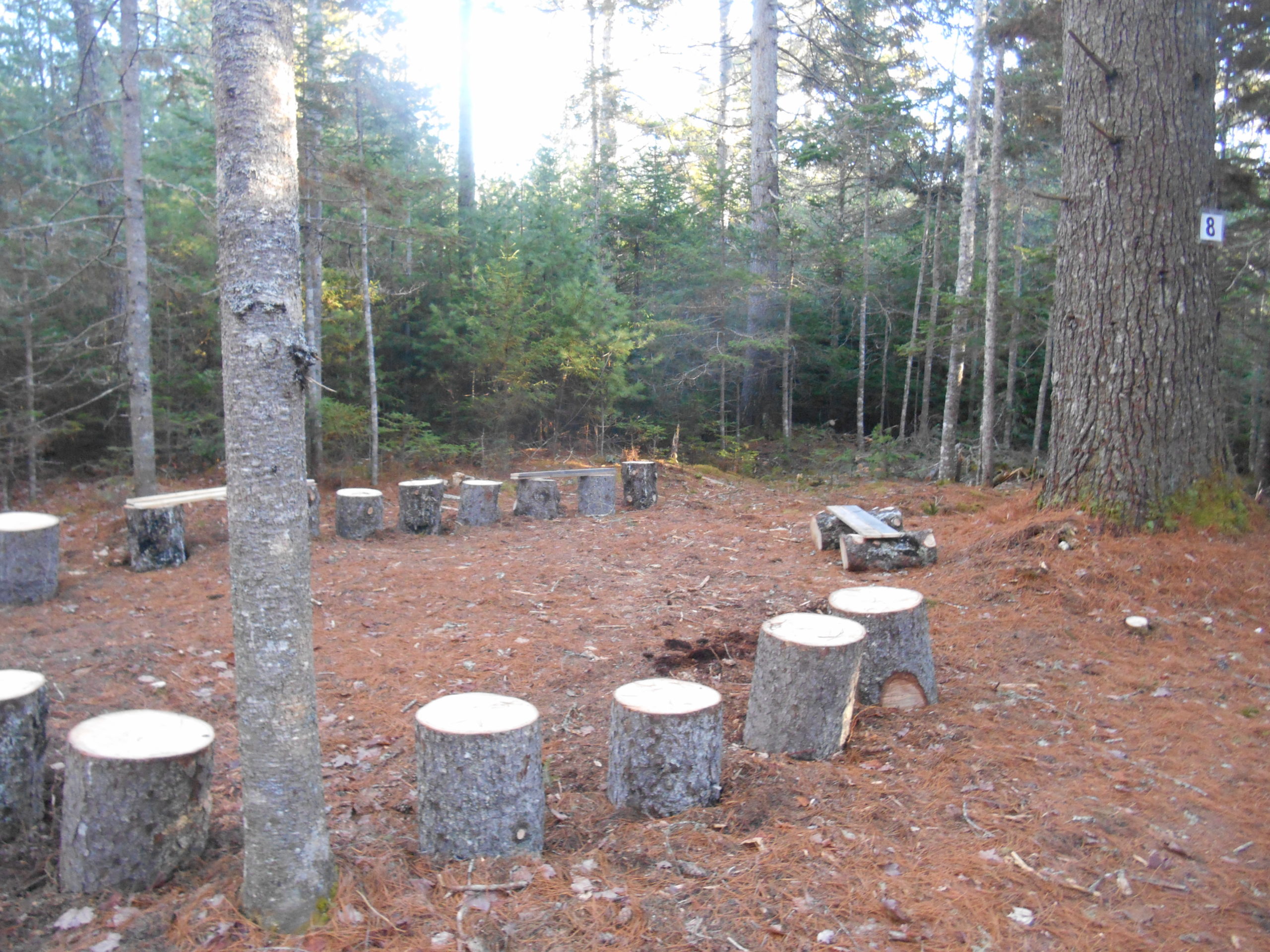 Spring Hike Series 2023: "Birding by Ear" at Simon Trail Preserve ...