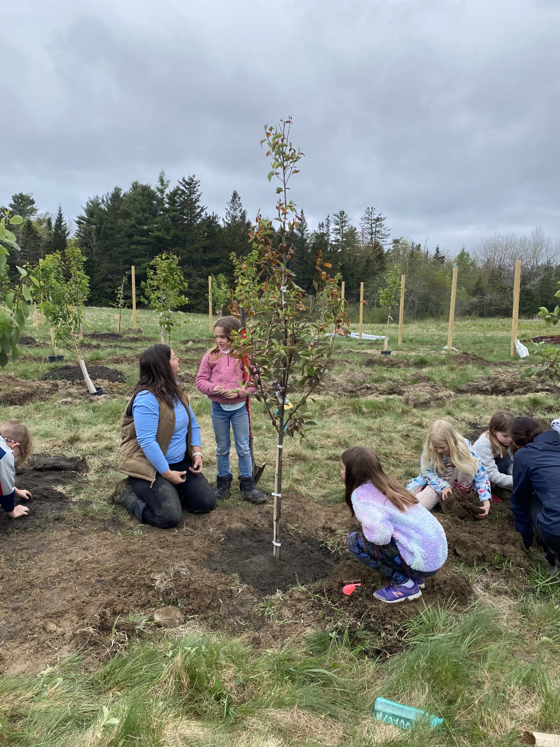 Volunteer Event: Community Tree Planting – Frenchman Bay Conservancy