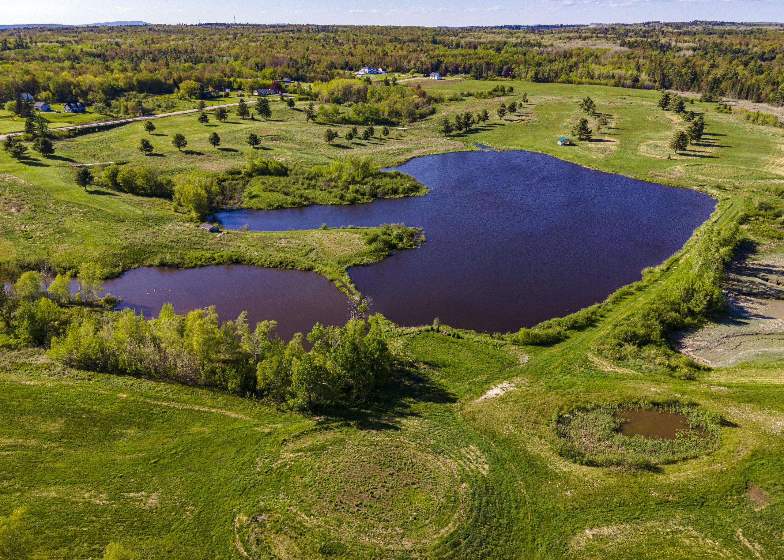 Restoring Resilience: Tidal Salt Marsh Restoration in Hancock County ...