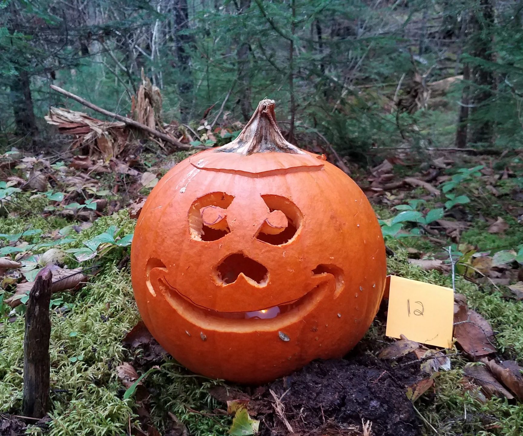 Thursday, October 26, Pumpkin Hike at Jordan Homestead: 4:00 PM Arrival ...