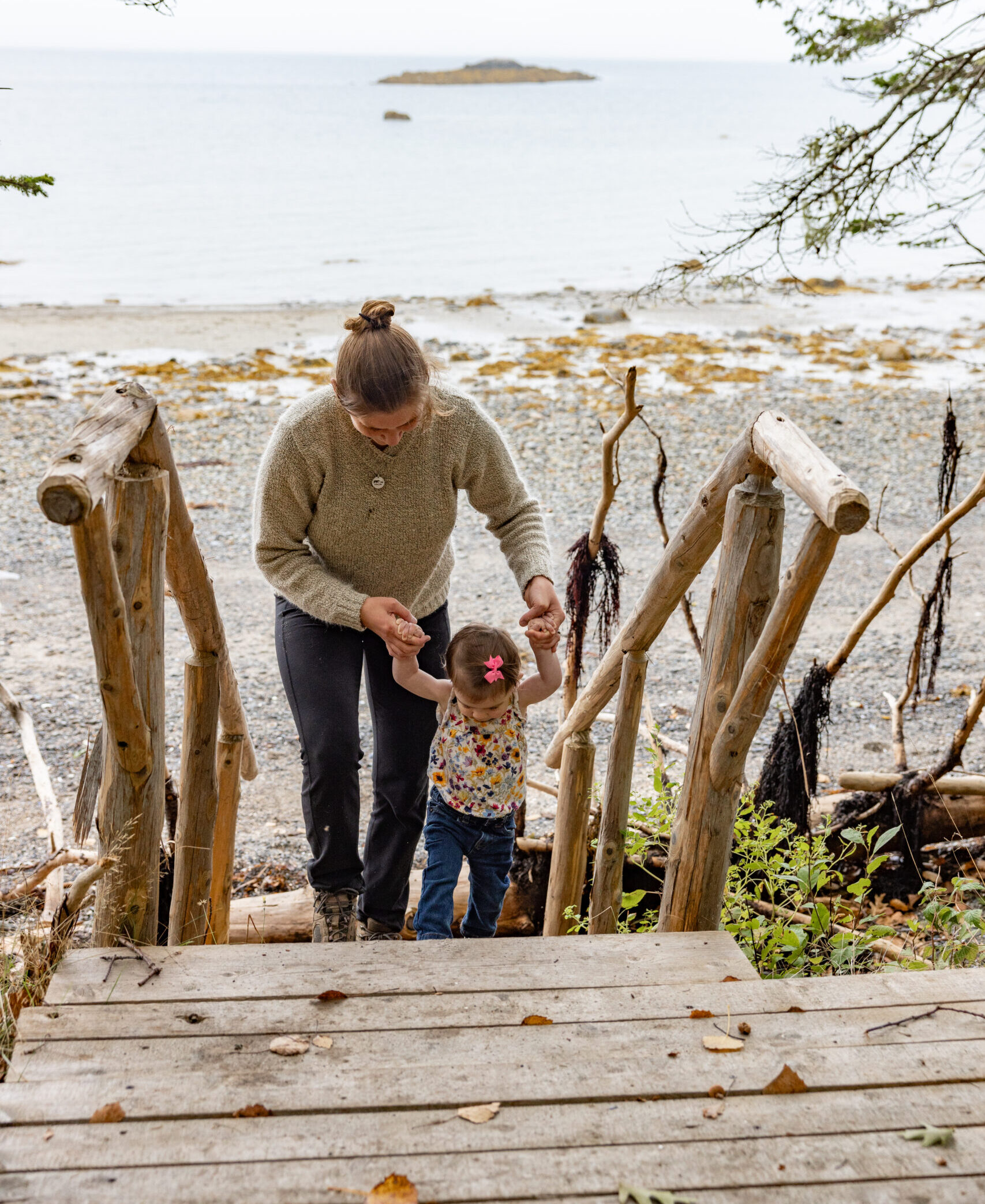 Discover Nature Hike at Taft Point Preserve - Frenchman Bay Conservancy